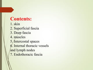 Thorax | PPT