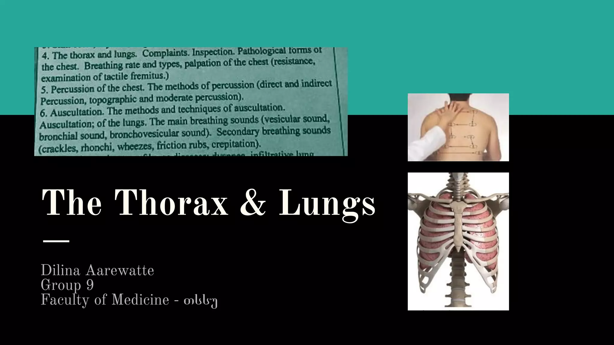 Types Of Human Chest