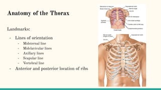 Physical Examination of Thorax | PPT