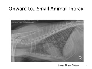 thorax.ppt