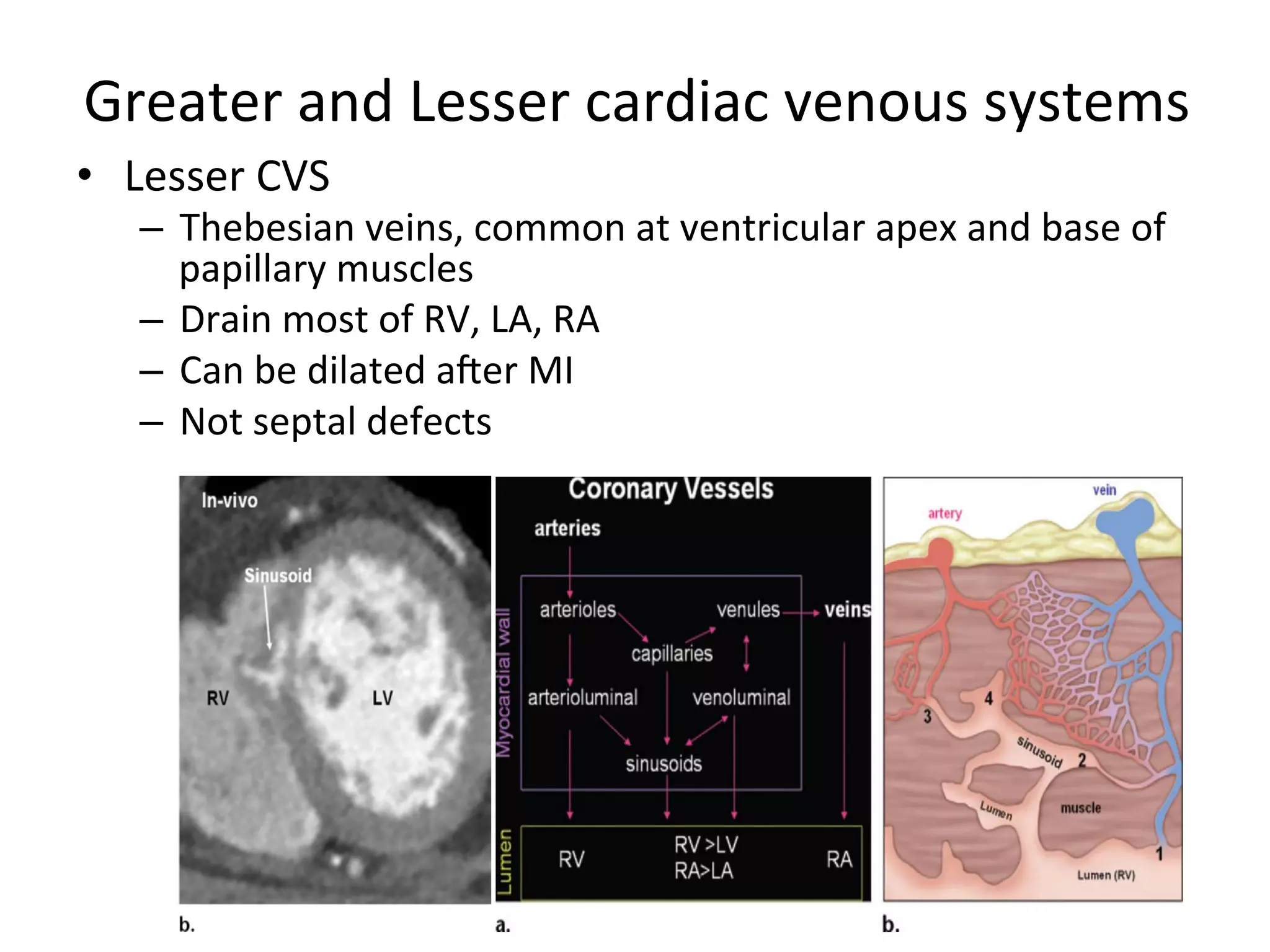 Thorax cardio pre procedure ct s cheung | PDF