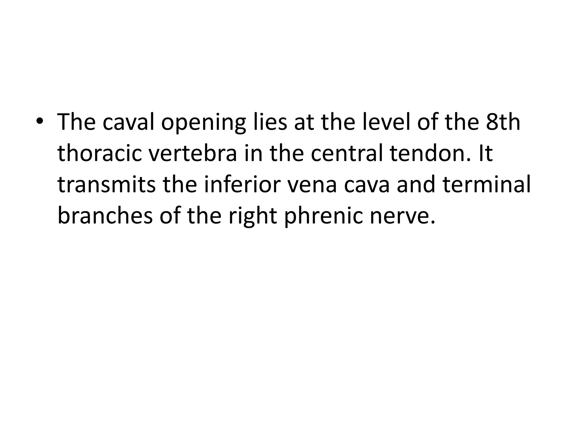 Thorax second part anatomy | PPTX