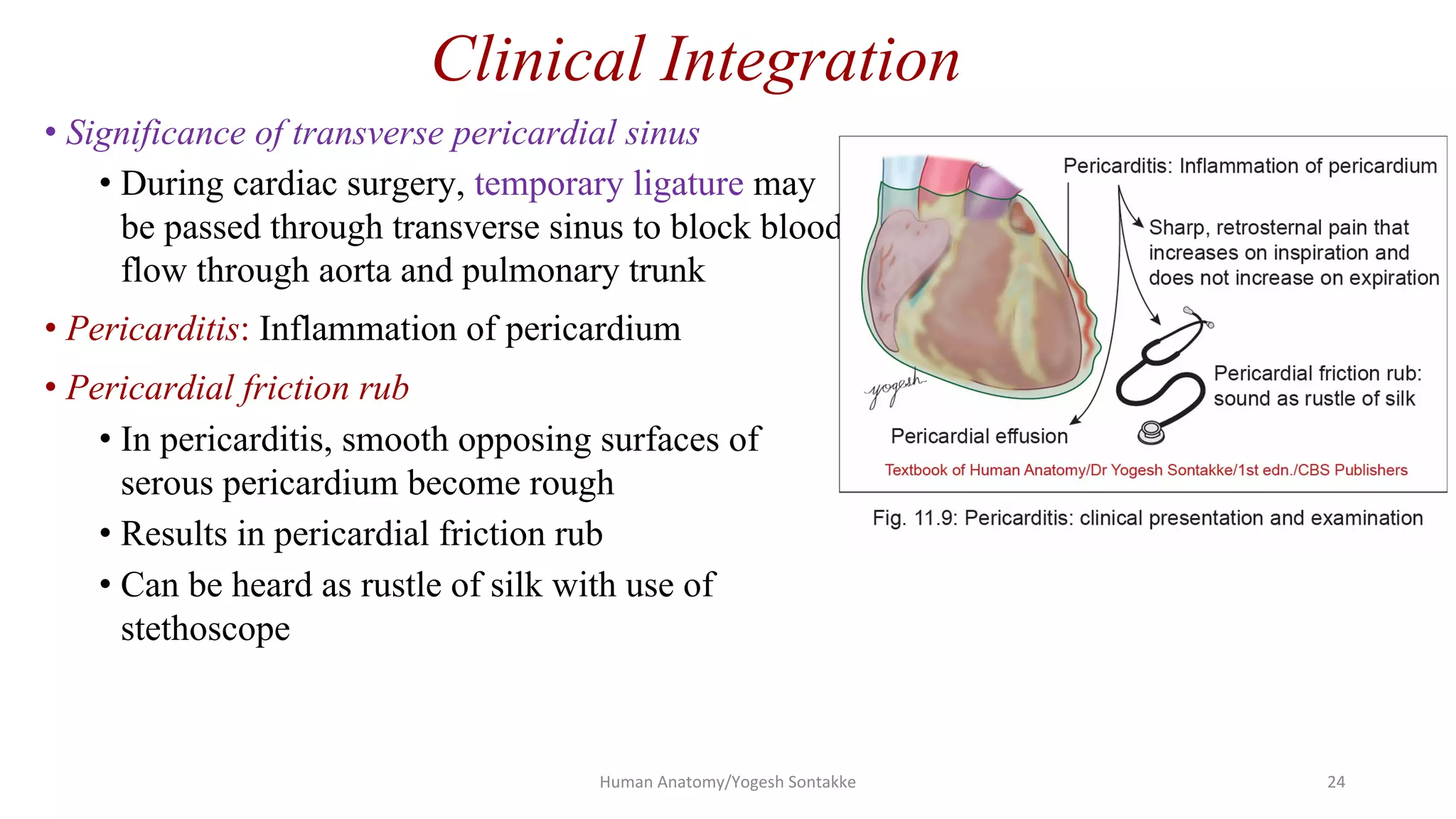 Thorax20Chapter201120Pericardium20Newpdf.pdf