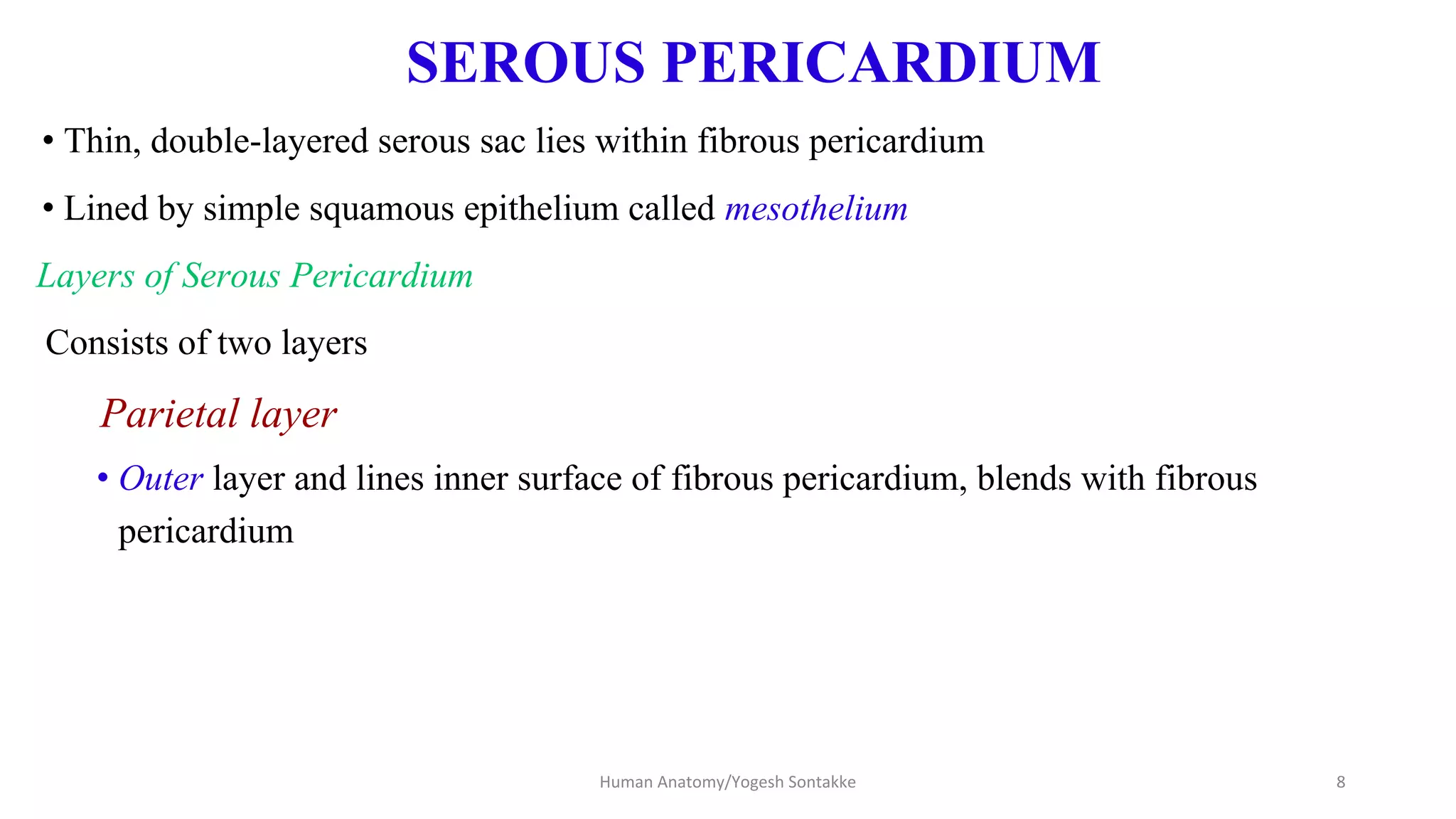 Thorax20Chapter201120Pericardium20Newpdf.pdf
