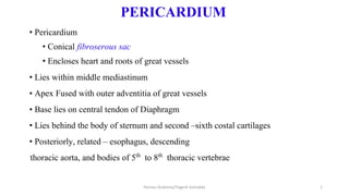 Thorax20Chapter201120Pericardium20Newpdf.pdf