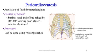 Thorax20Chapter201120Pericardium20Newpdf.pdf