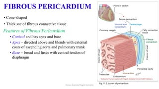 Thorax20Chapter201120Pericardium20Newpdf.pdf