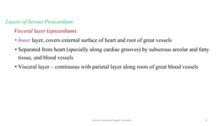 Thorax20Chapter201120Pericardium20Newpdf.pdf