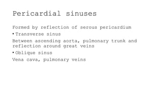 thorax 2,12.pdf anatomy simplified just for u easy | PDF