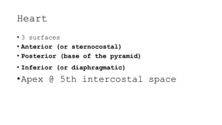 thorax 2,12.pdf anatomy simplified just for u easy | PPT