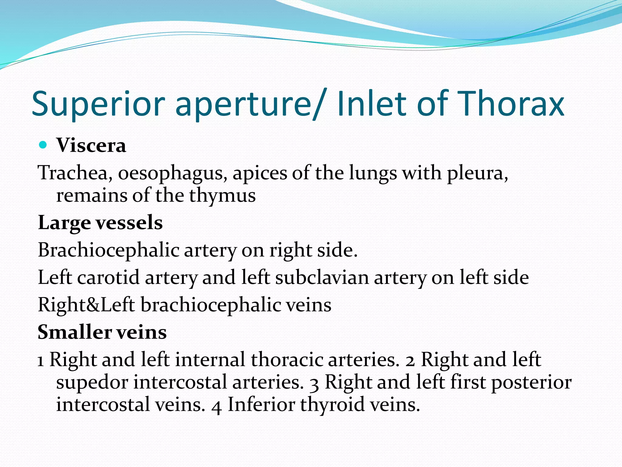 Thorax anatomy | PPTX