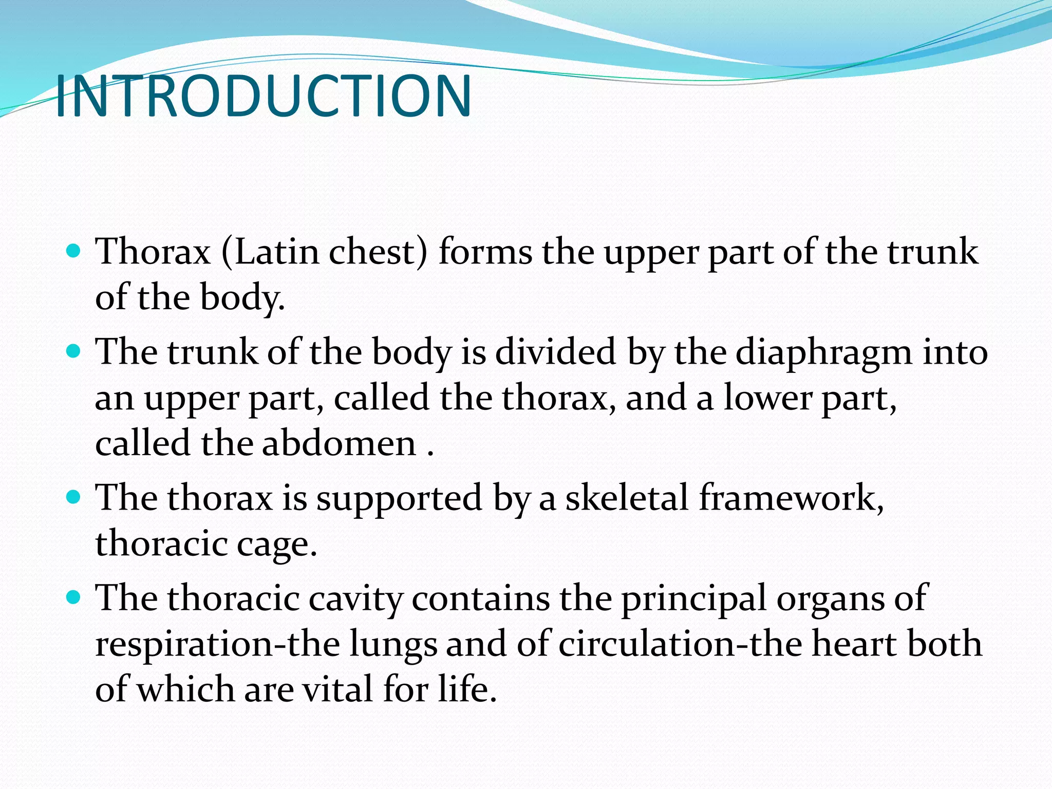 Thorax anatomy | PPTX