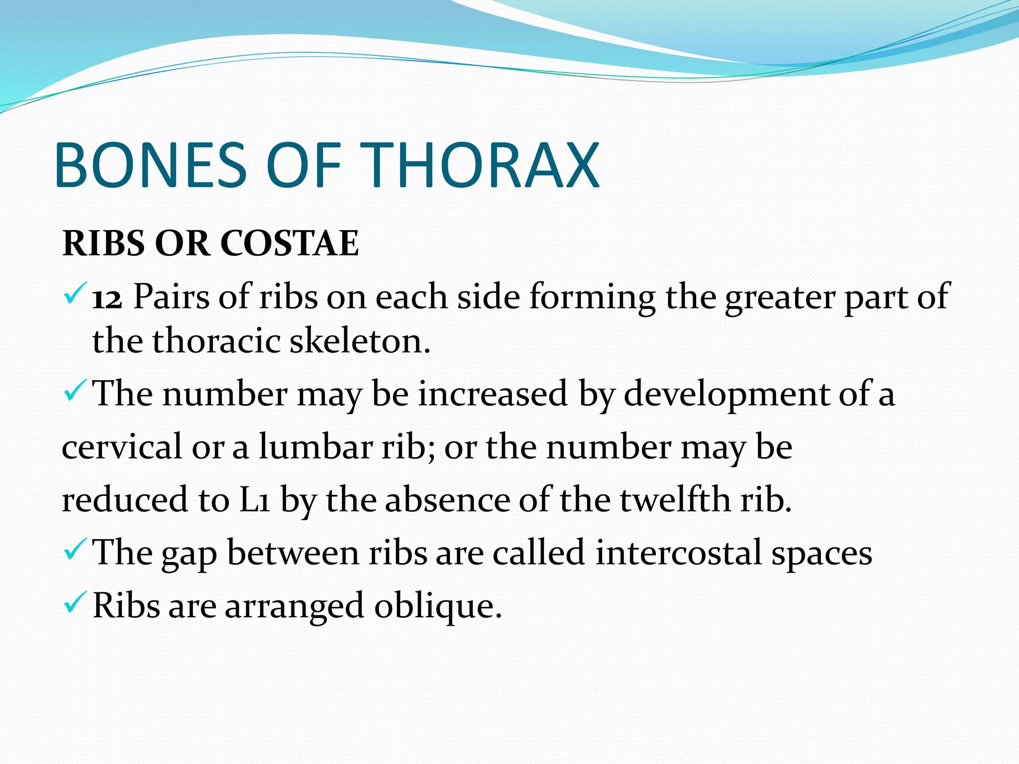 Thorax anatomy | PPTX