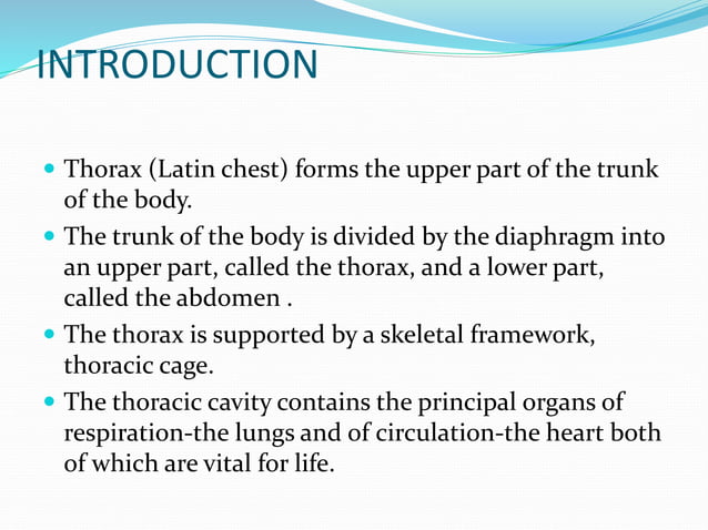 Thorax anatomy | PPTX | Death, Injury, or Military Conflict | Sensitive ...