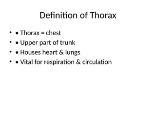 Thorax_Anatomy_MBBS_45_Slides.pptx thorax | PPTX