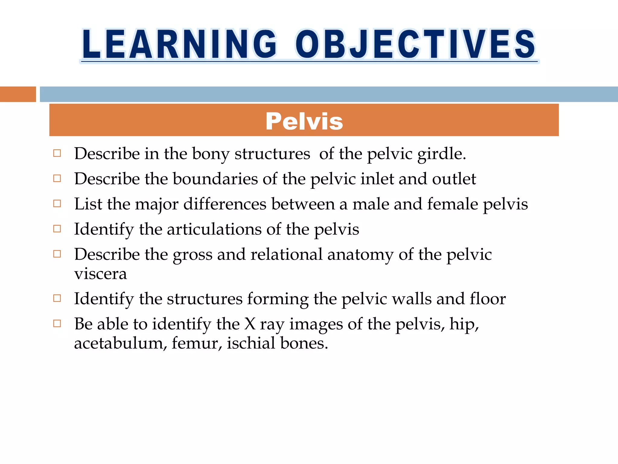 Thorax and abdomen & pelvis | PPT