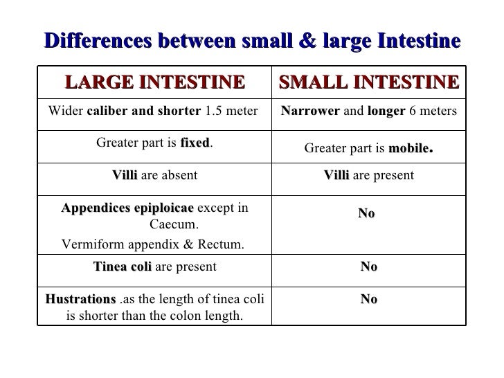 Thorax and abdomen & pelvis