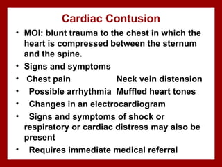 Thorax and Abdomin | PPT