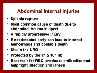 Thorax and Abdomin | PPT
