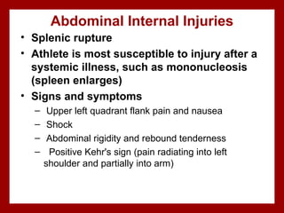 Thorax and Abdomin | PPT