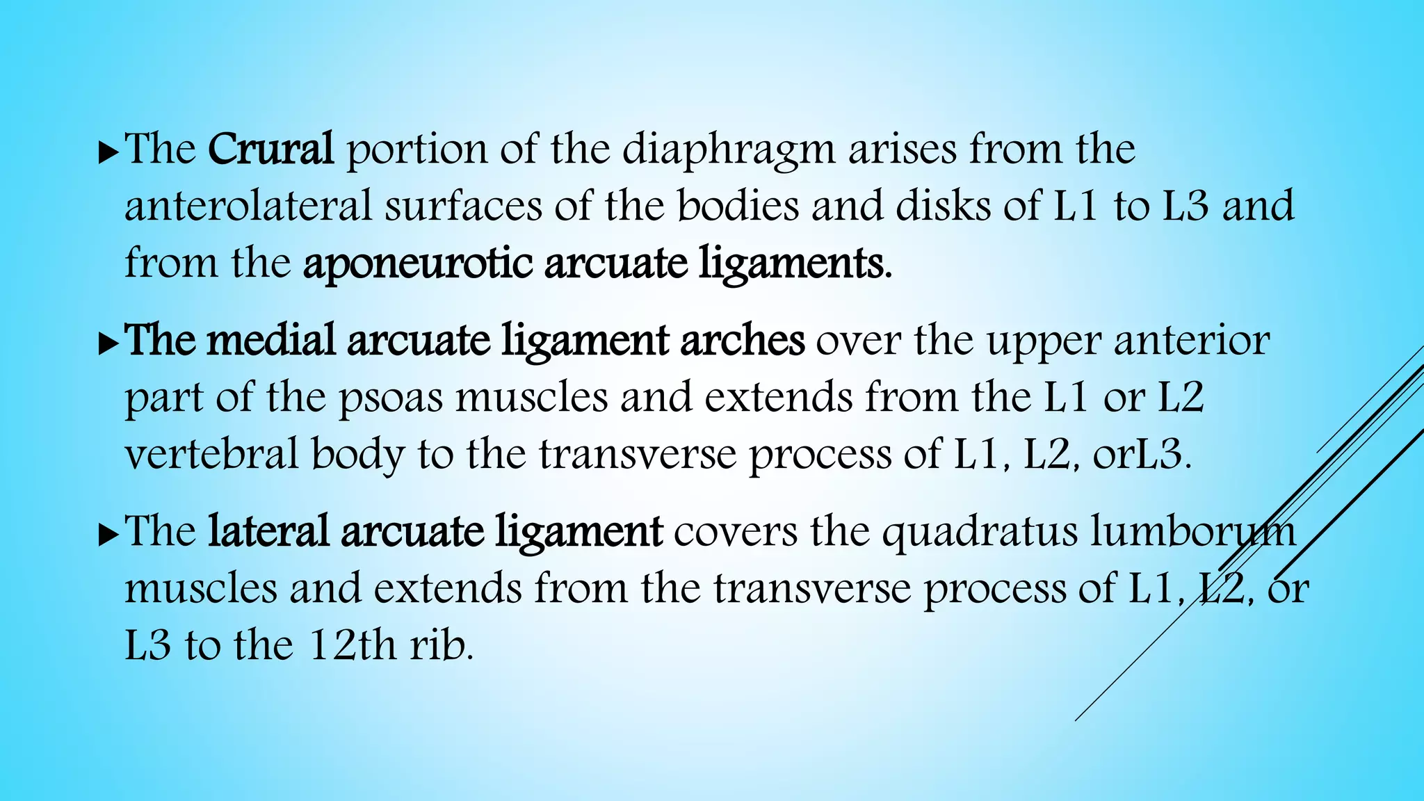 Thorax and chest wall | PPTX