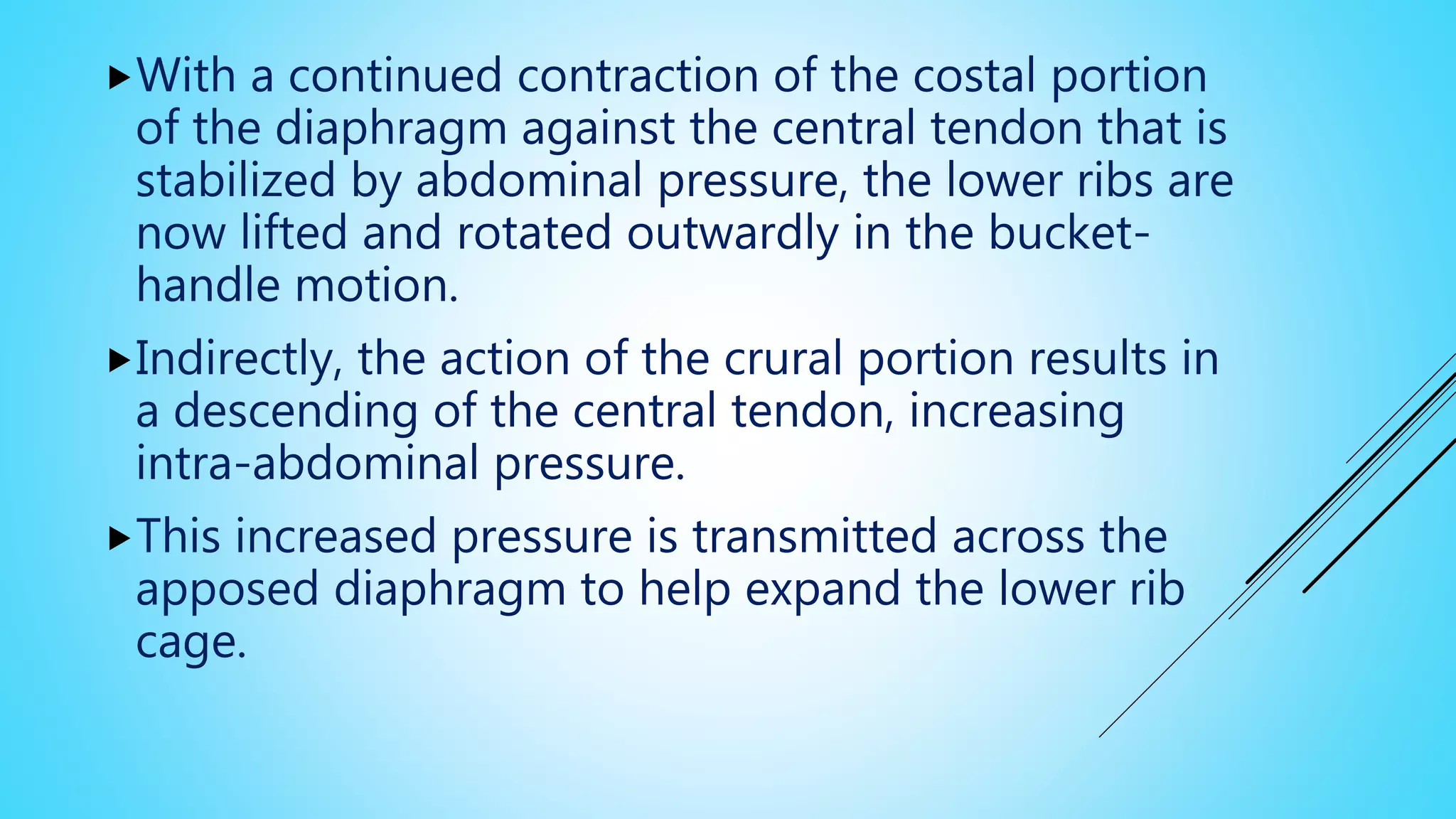 Thorax and chest wall | PPTX