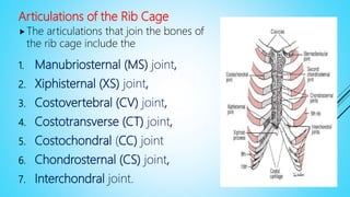 Thorax and chest wall | PPTX