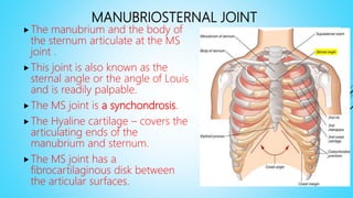 Thorax and chest wall | PPTX