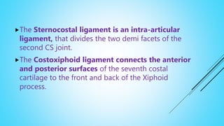 Thorax and chest wall | PPTX