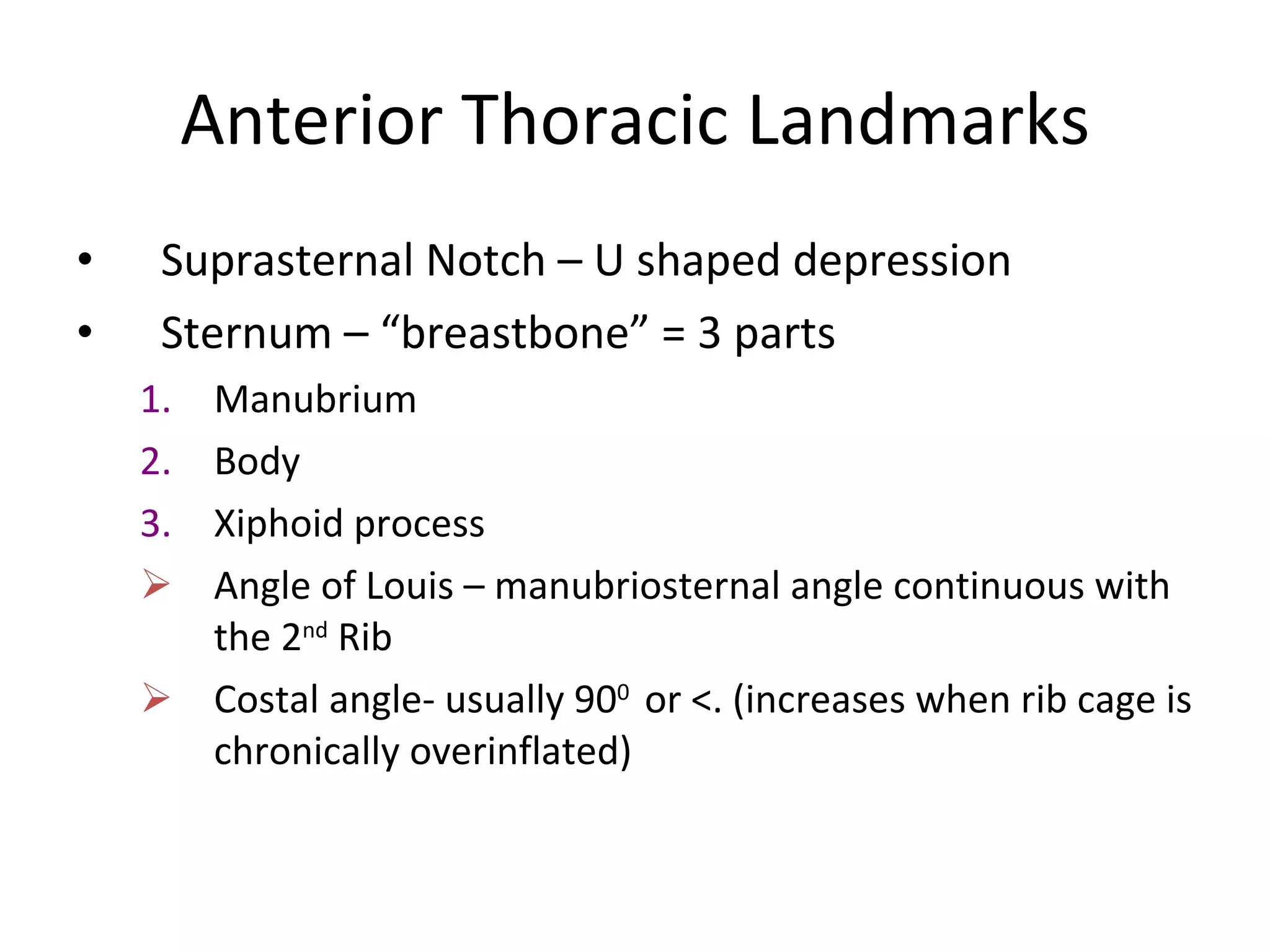 Thorax And Lungs | PPT