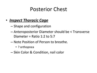 Thorax And Lungs | PPT