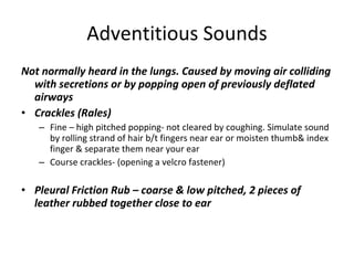 Thorax And Lungs | PPT