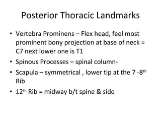Thorax And Lungs | PPT