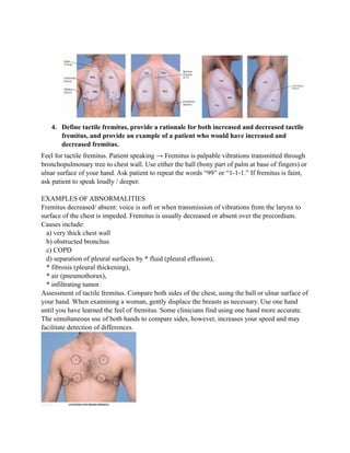 Thorax and lungs | PAGES