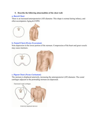 Thorax and lungs | PAGES