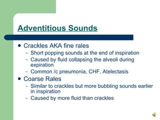 Thorax And Lungs.330.Ss.09