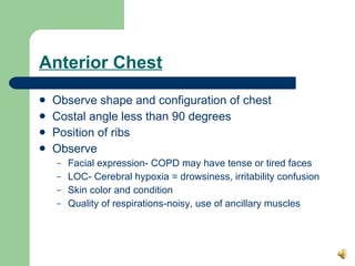 Thorax And Lungs.330.Ss.09