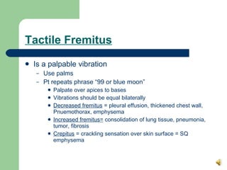 Thorax And Lungs.330.Ss.09