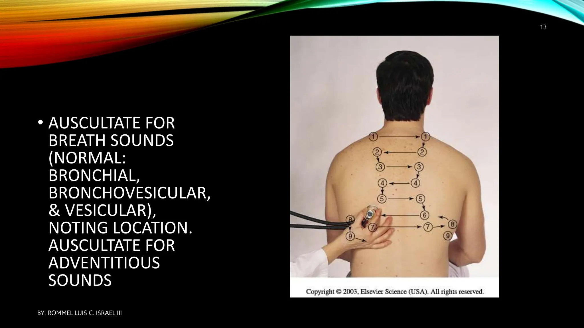 THORAX AND LUNGS ASSESSMENT | PPTX