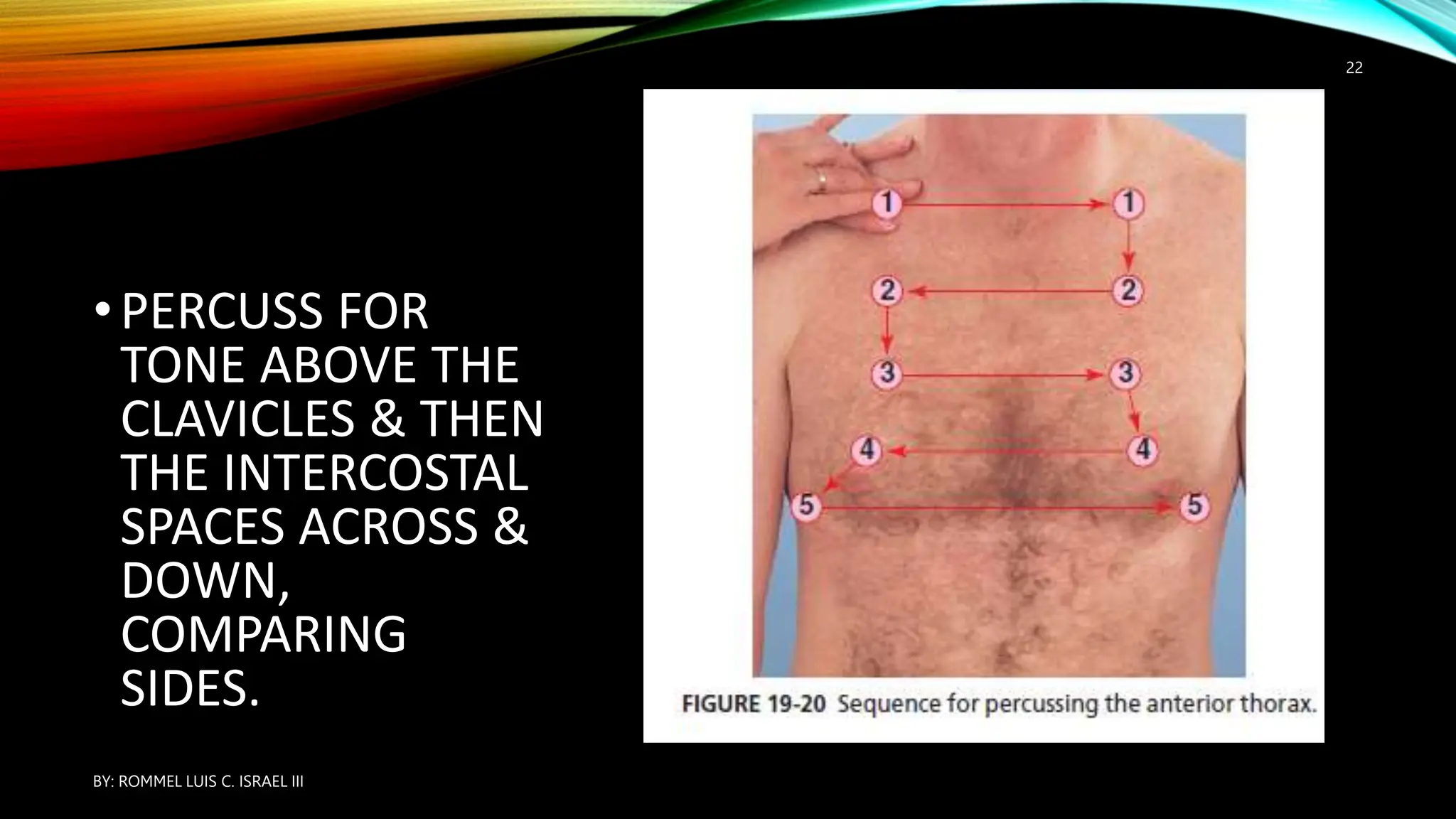 THORAX AND LUNGS ASSESSMENT | PPTX