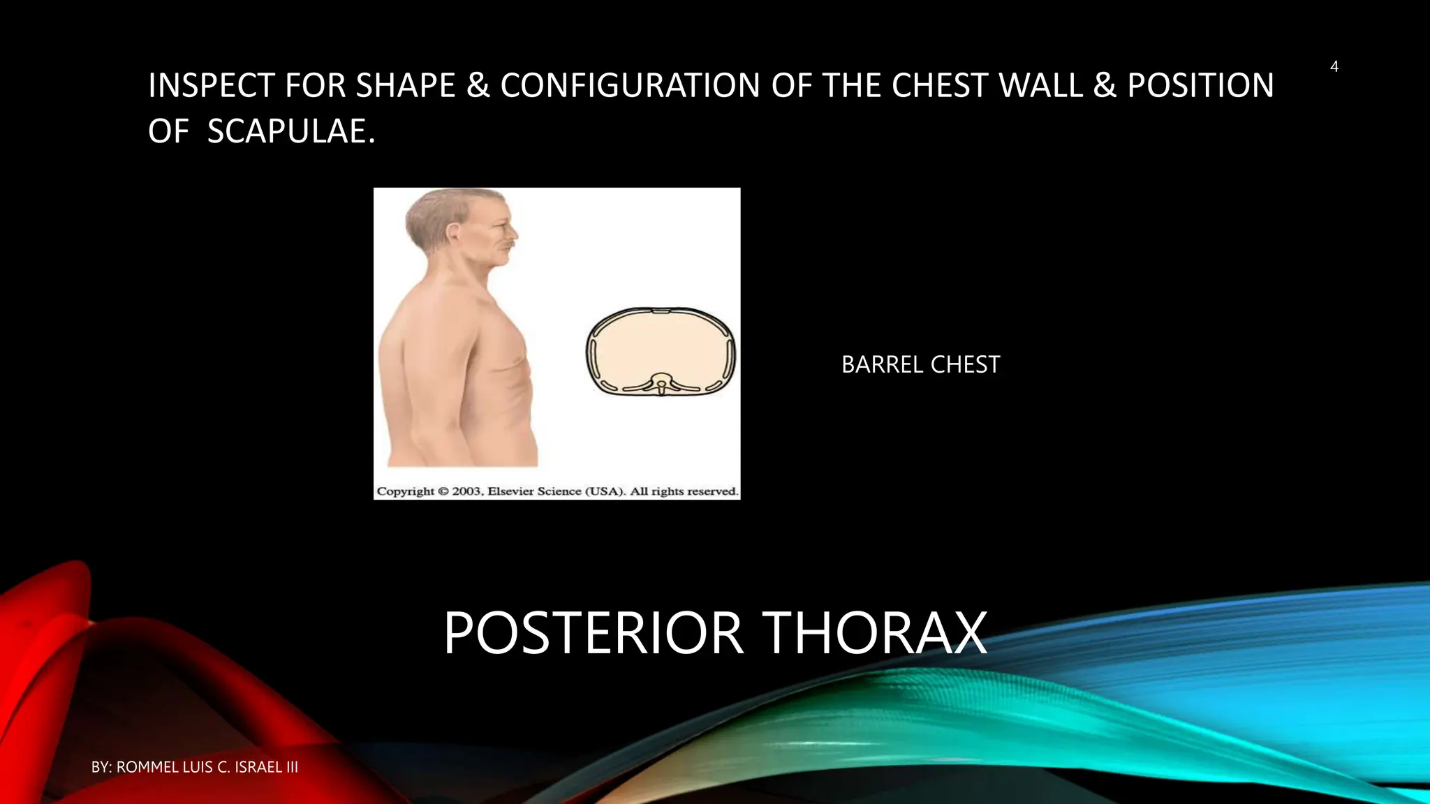 THORAX AND LUNGS ASSESSMENT | PPTX