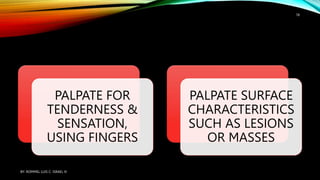 THORAX AND LUNGS ASSESSMENT | PPTX
