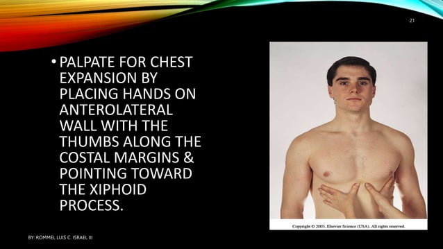 THORAX AND LUNGS ASSESSMENT | PPTX