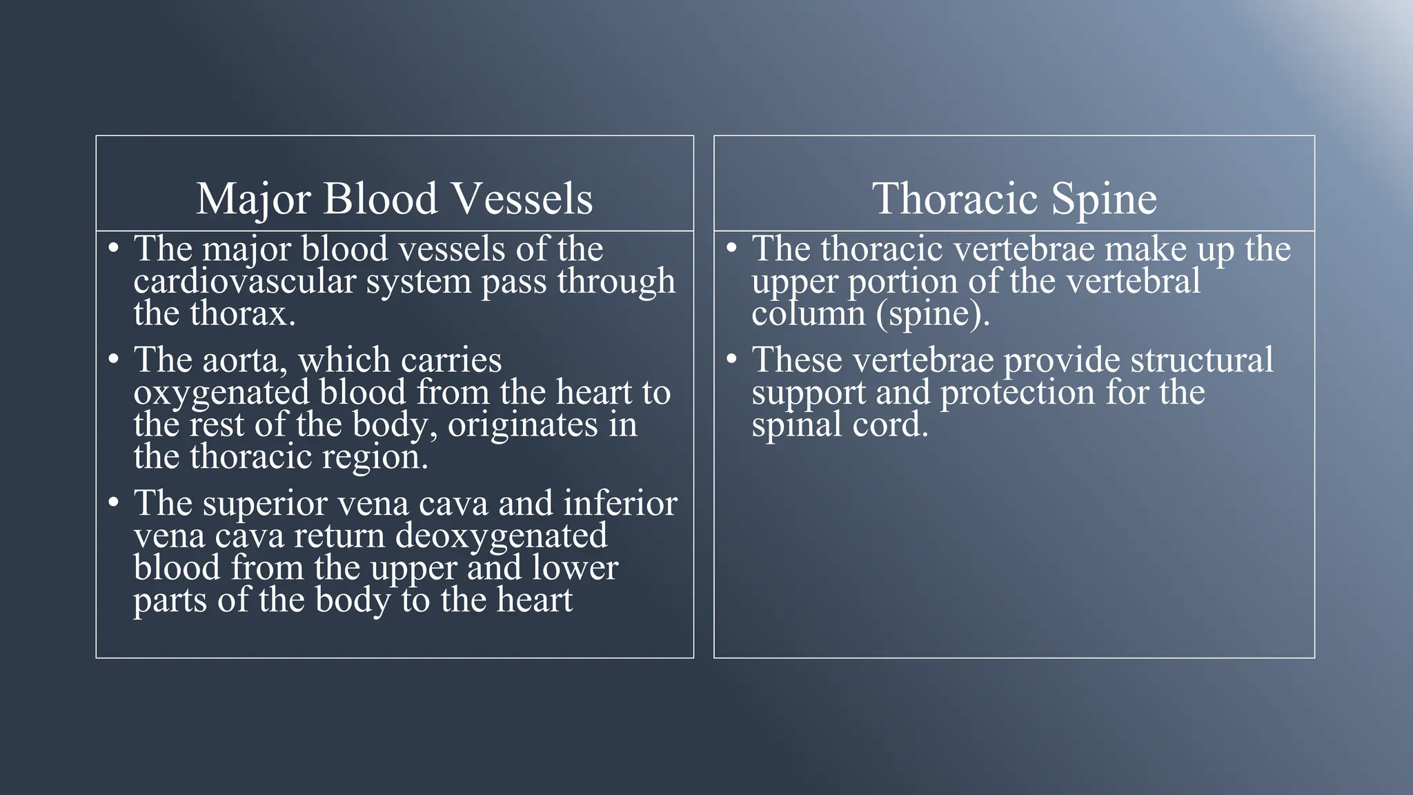 Thorax and Lungs Examination 1111111.pptx