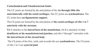 Thorax and the chest wall PPT | PPTX
