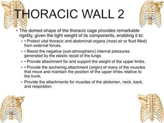 Thorax bones | PPTX