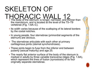 Thorax bones | PPTX