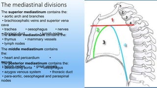 Thorax by Dr.Omar Mulla | PPSX