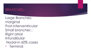 Thorax ( Cardiac Dominance ).pptx