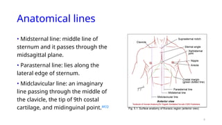 Thorax Chapter 5 Thoracic wall I.power point ptx | PPTX